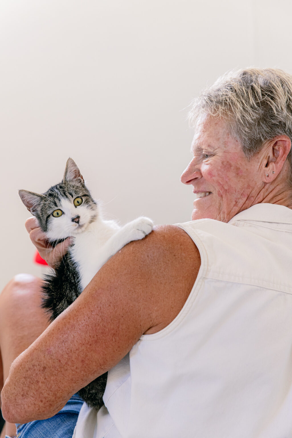 Cat Adoption in Kansas City | Always & Furever Midwest Animal Sanctuary