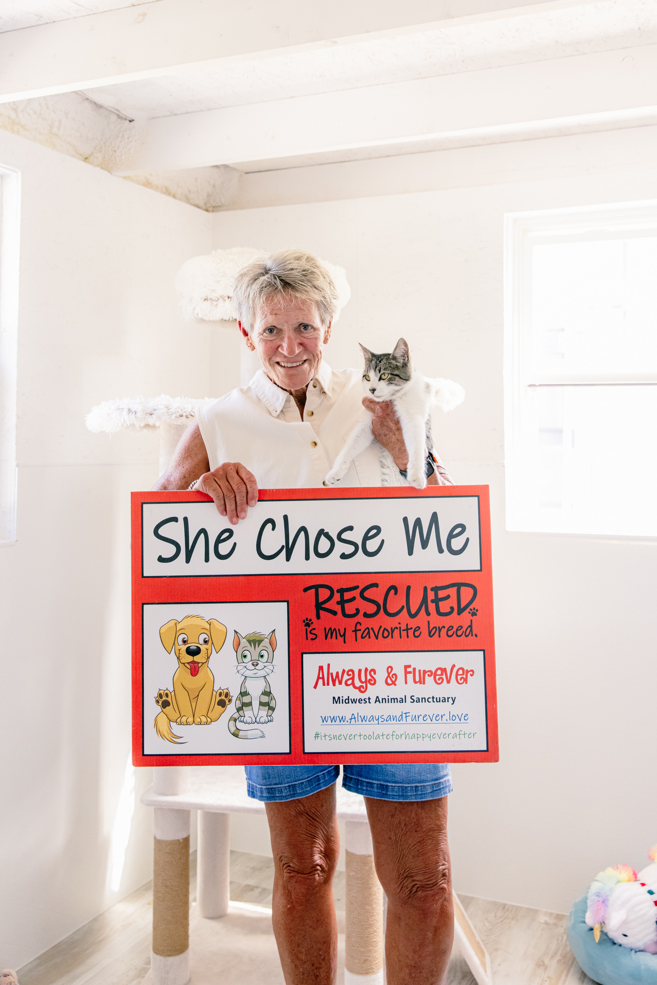 Cat Adoption in Kansas City | Always & Furever Midwest Animal Sanctuary